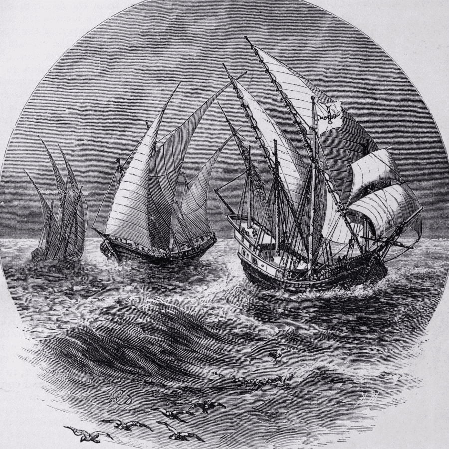 CIMP World History Since the Fifteenth Century Tuition | TigerCampus ...